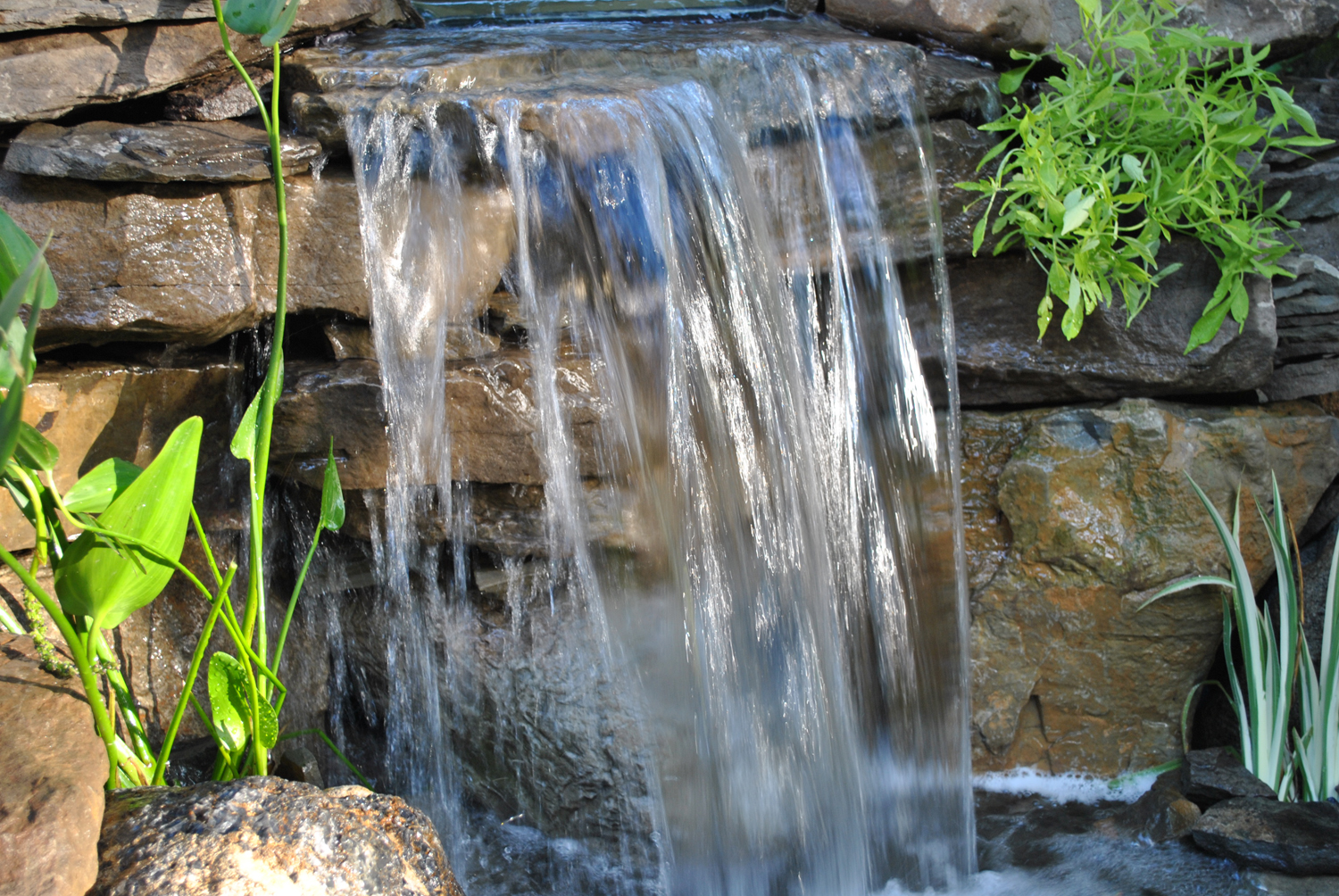 GOT WATERFALL? - That Pond Place